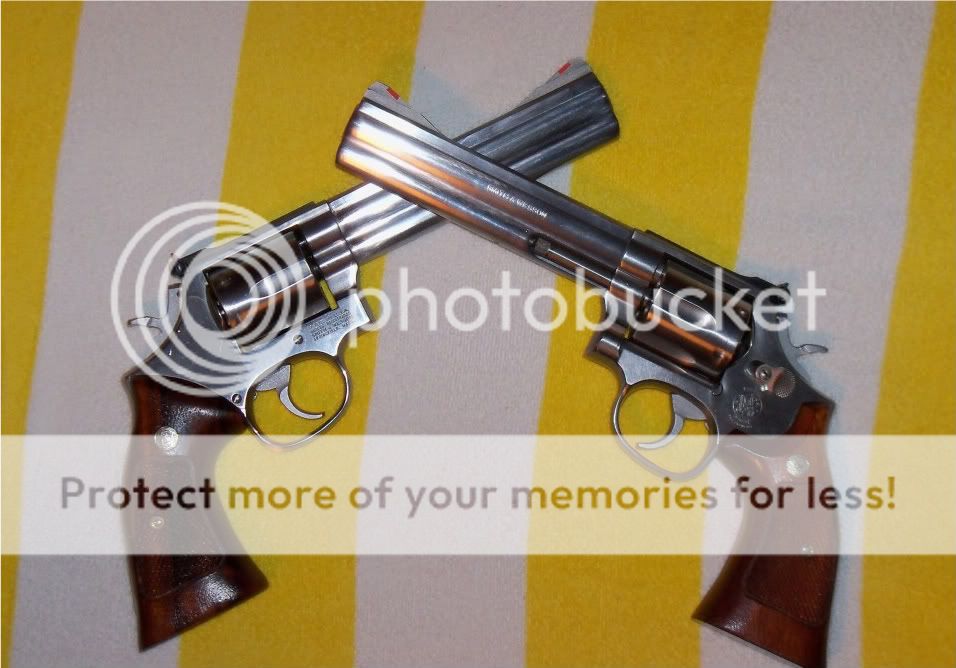 The Revolver Bug!!! - Calguns.net