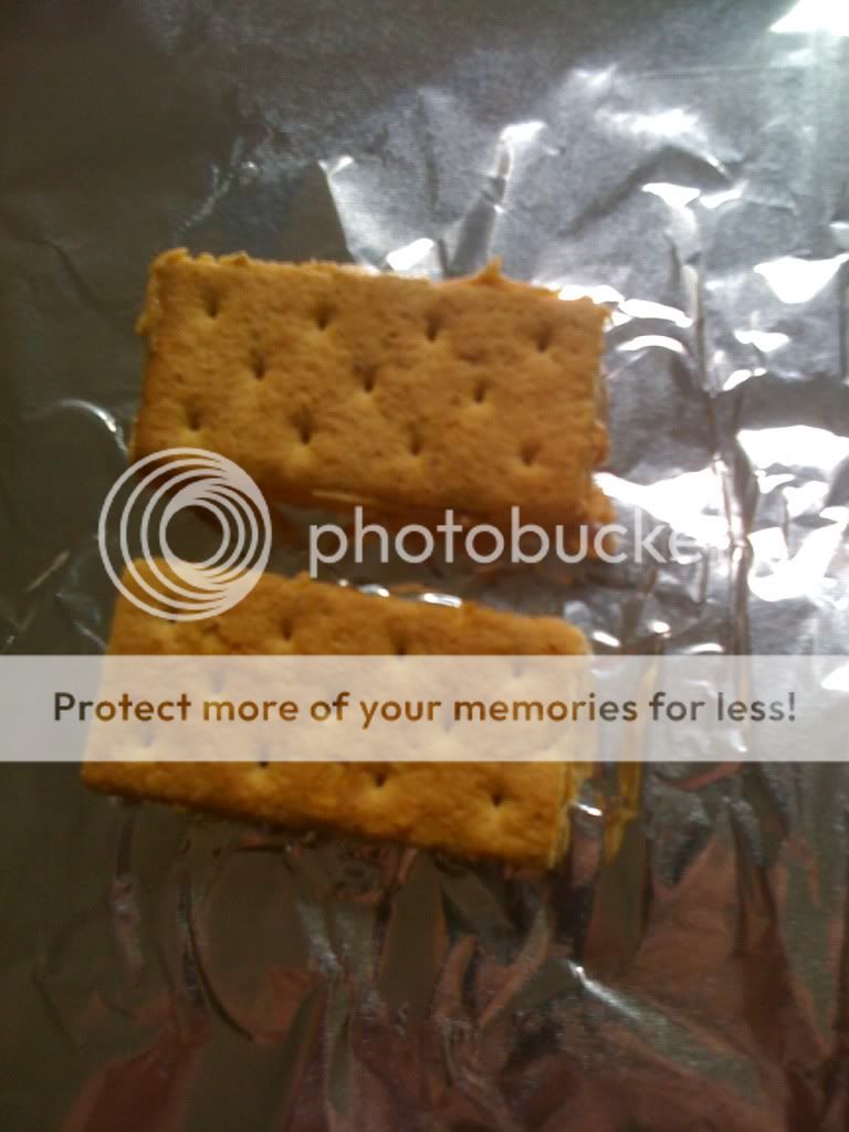 Recipe - My ULTIMATE Marijuana Firecracker recipe WITH PICS!! | Page 5 ...